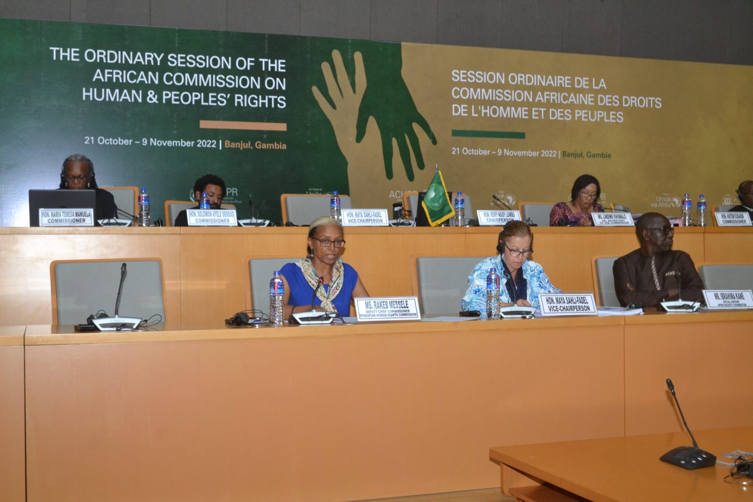 National Human Rights Institutions (NHRIs) key to the ratification and implementation of ...