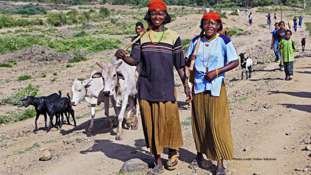 Civil and Political Rights Archives - Ethiopian Human Rights Commission ...