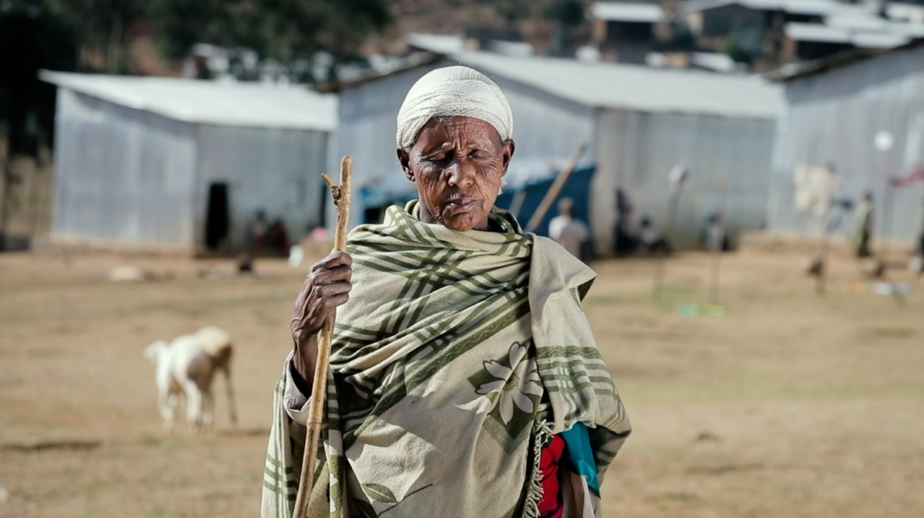 Protection of Older Persons from Abuse - Ethiopian Human Rights ...