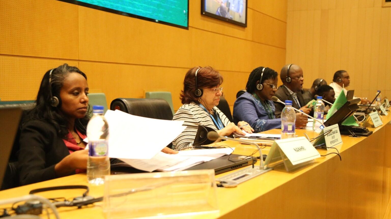 EHRC’s participation at the 42nd Ordinary Session of ACERWC - Ethiopian ...