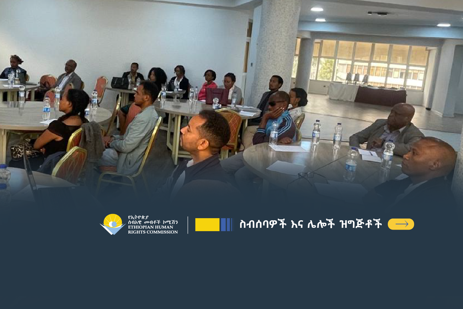 “የኢሰመኮ-ሲቪል ማኅበራት የትብብር መድረክ”ን ከኢሰመኮ ጋር የሚመሩ ተባባሪ መሪ (Co-chair) እና ምክትል ...