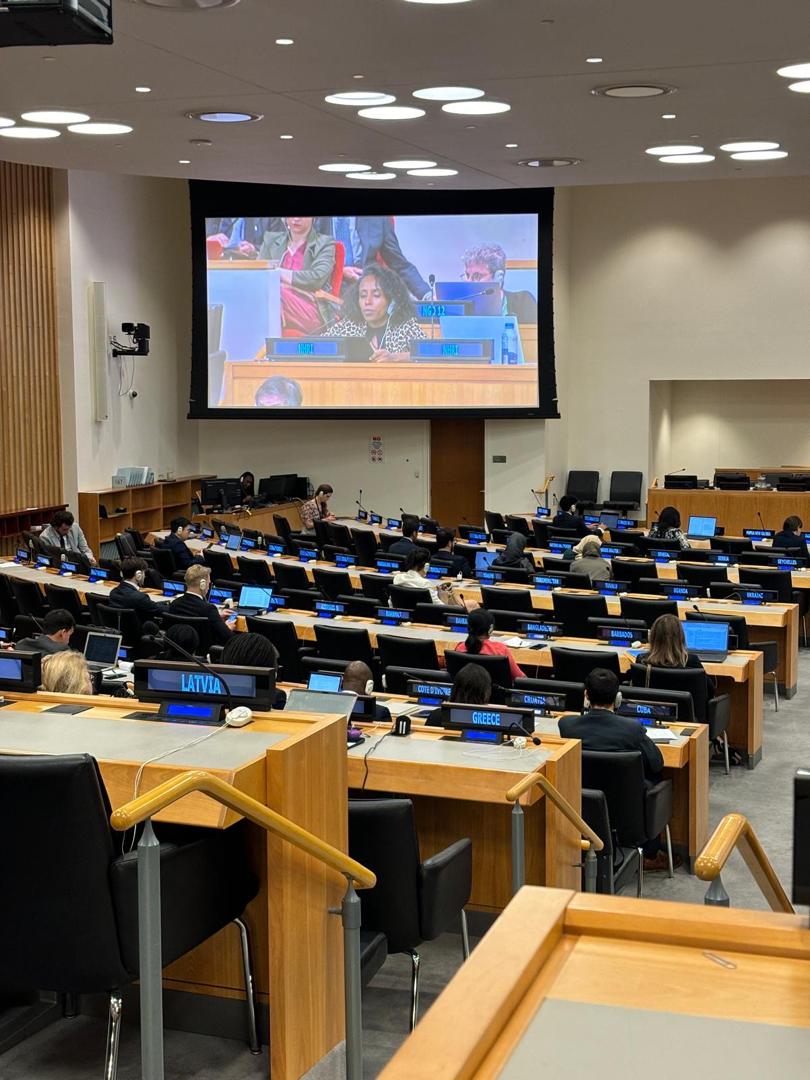 EHRC Participated in 14th Session of the Open-Ended Working Group on ...