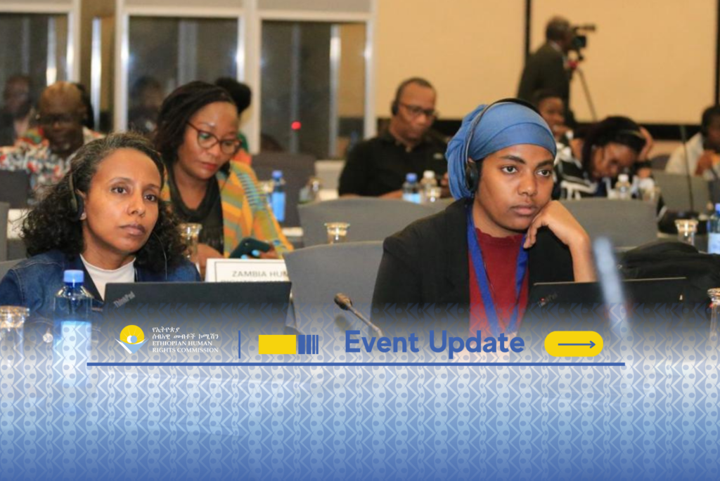 NHRIs and Regional Human Rights Mechanisms important to Safeguard the ...