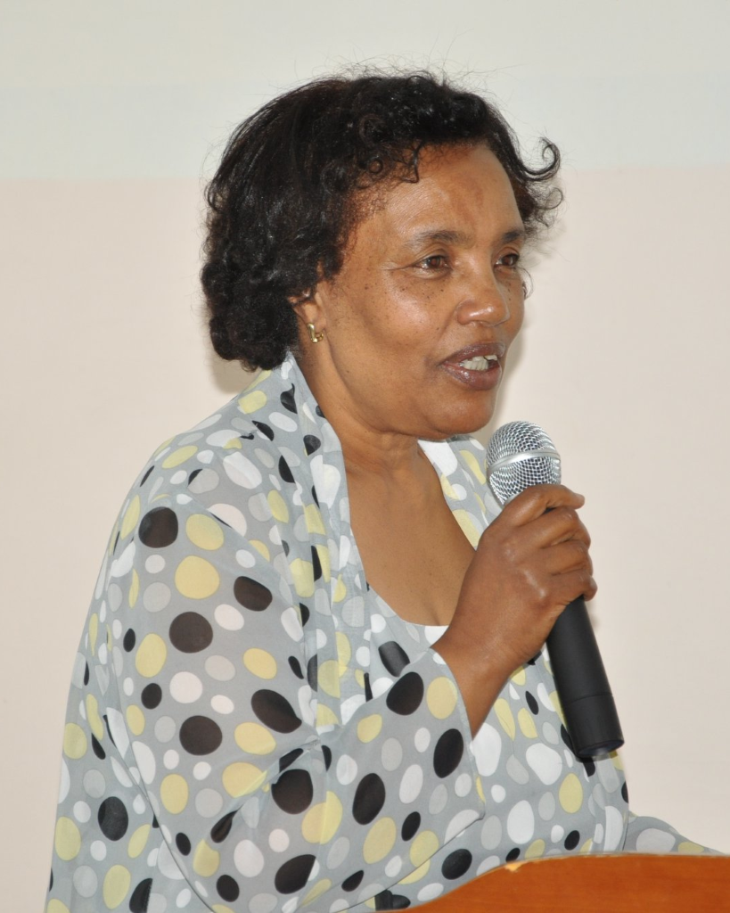 Past Commissioners - Ethiopian Human Rights Commission - EHRC